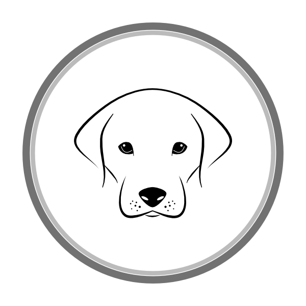 Dog – Hagersville Pet Store